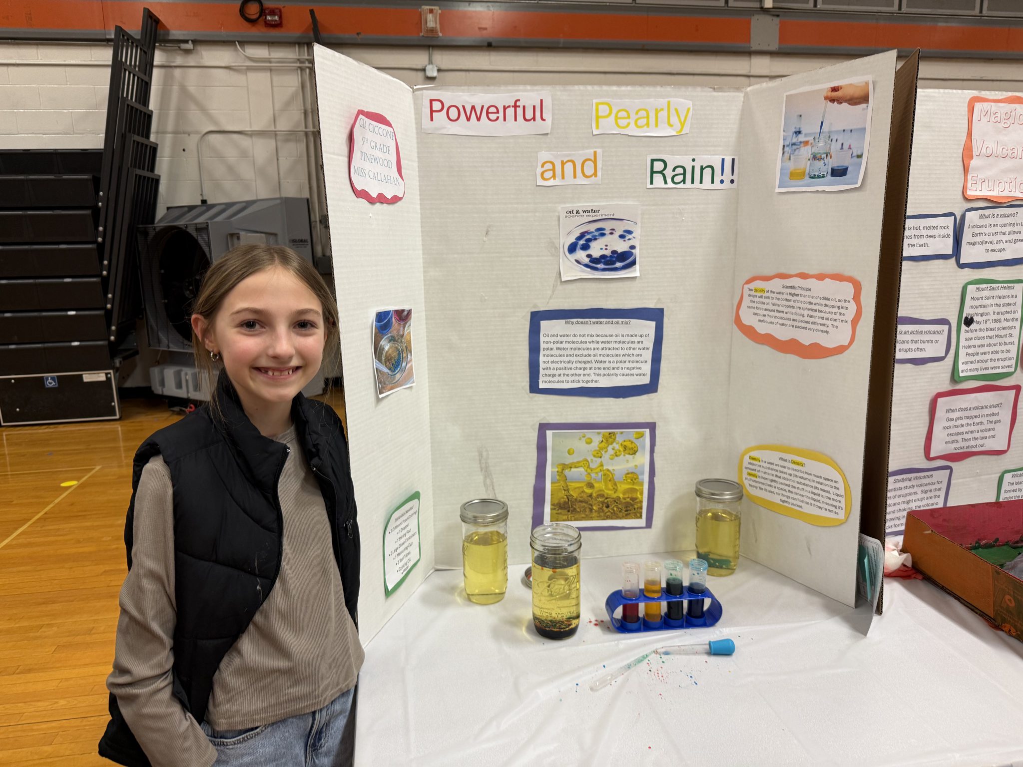 Seen at; K-5 Science Fair - Mohonasen Central School District